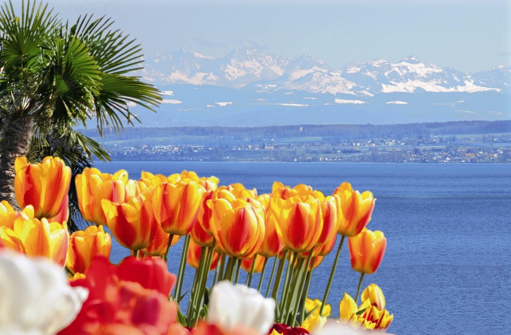Gräfliches Inselfest Mainau